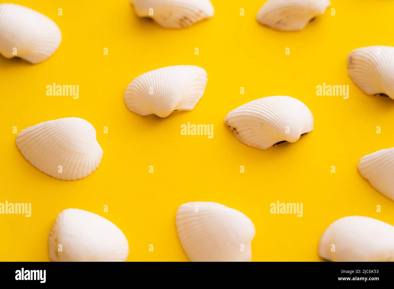 Close up view of white seashells on yellow background Stock Photo - Alamy