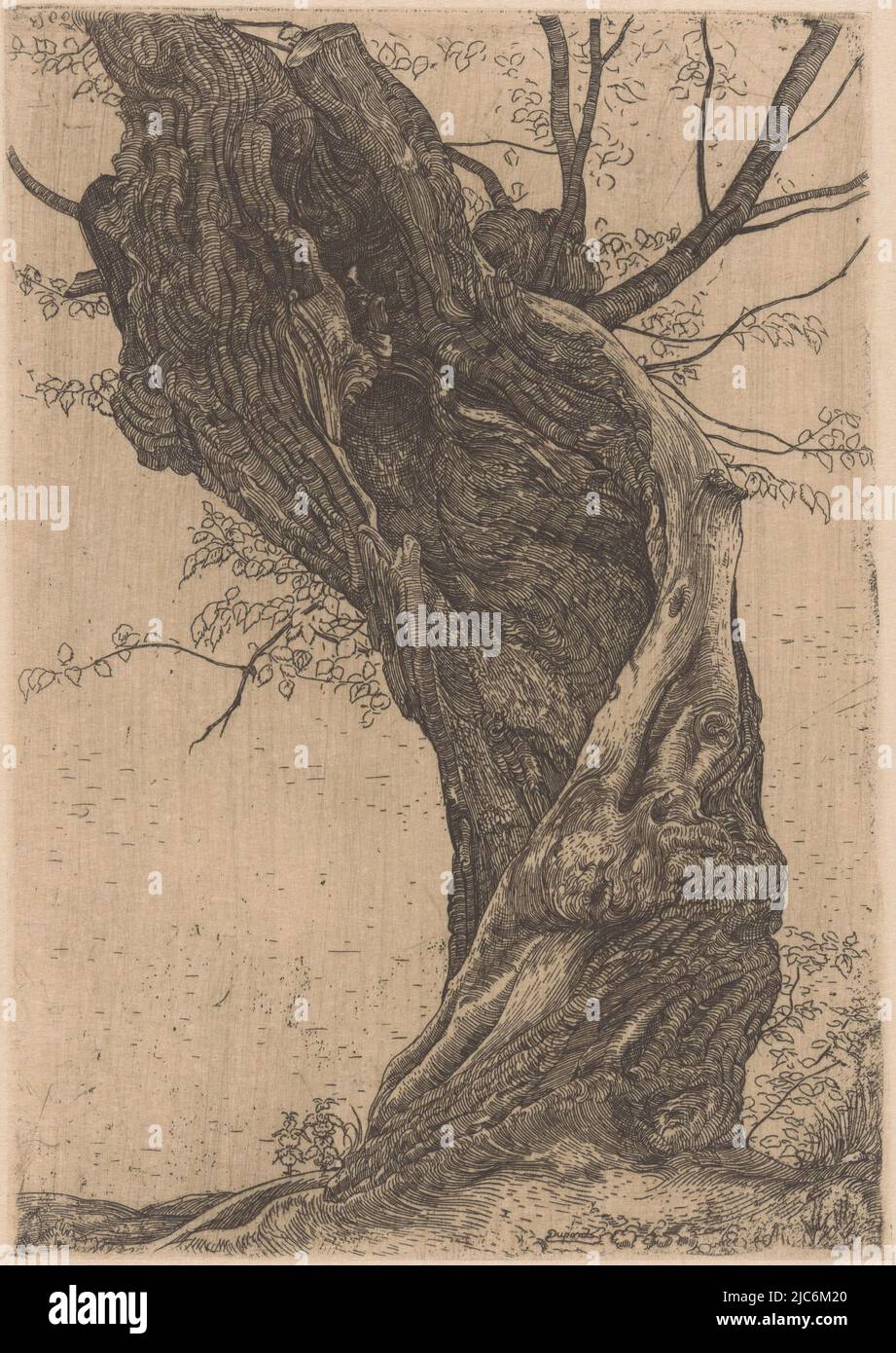 Willow tree, print maker: Pieter Dupont, (signed by artist ...