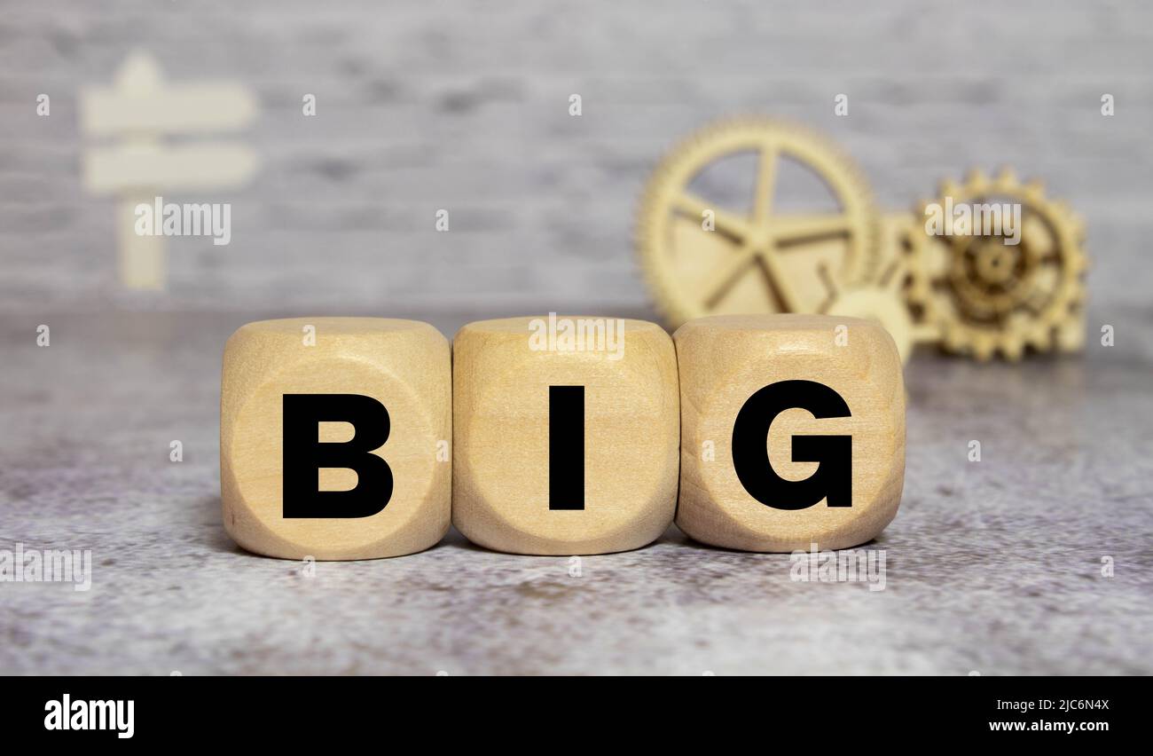 Big deal symbol. Concept words 'big deal' on wooden cubes and block on ...