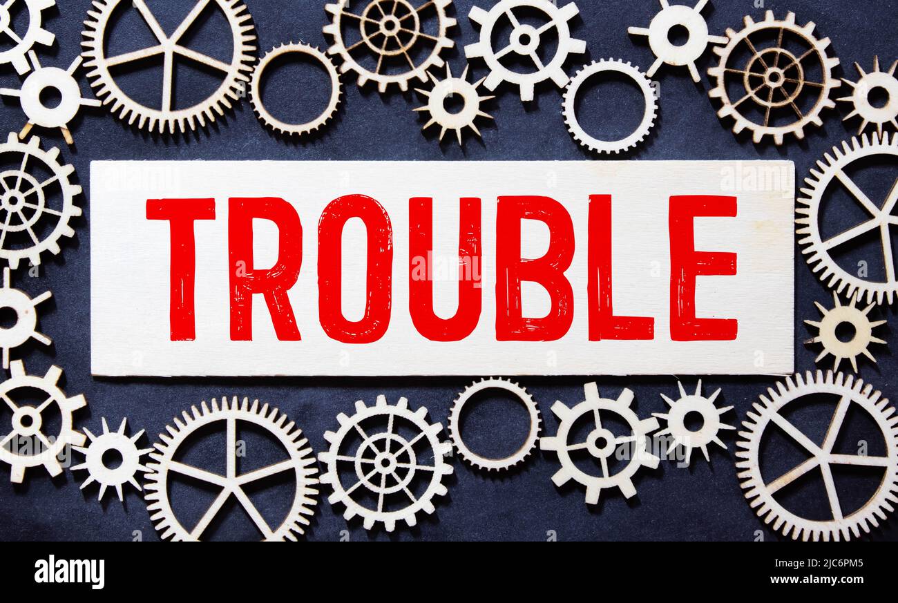 Word TROUBLE made from wooden letters on grey backgound. Plant on ...