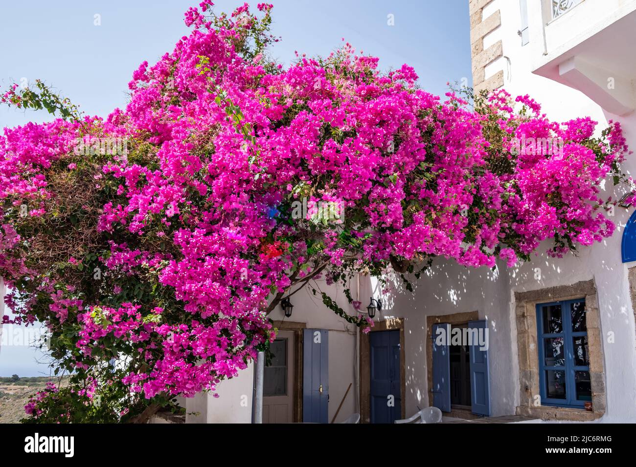Bougainvillea greek pink flower island hi-res stock photography and ...
