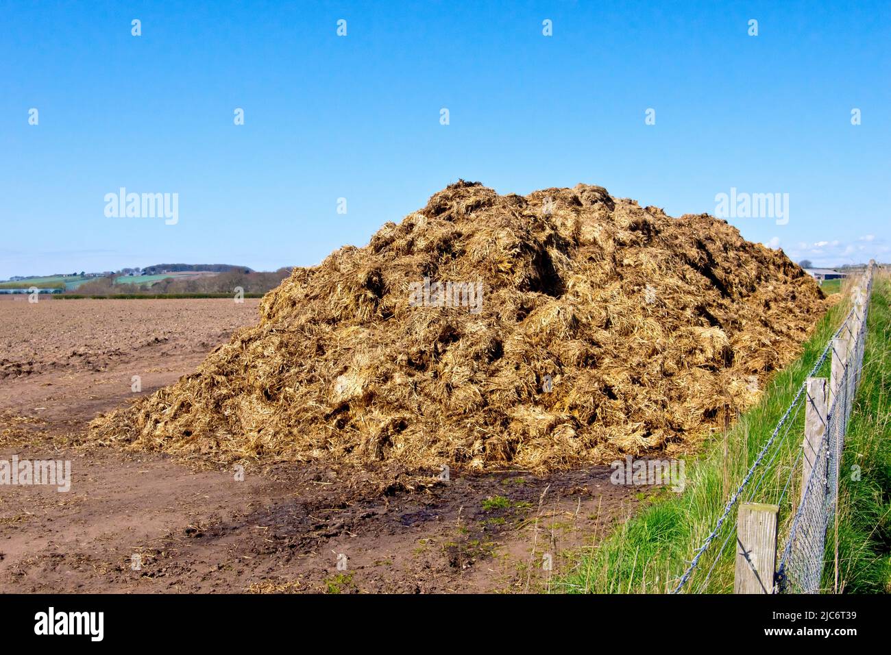 Farmyard manure piled up at the edge of a field, ready for spreading as ...