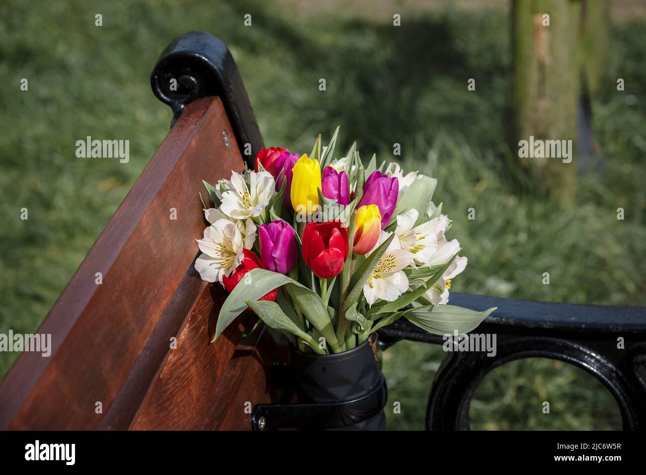 Flowers left on memorial bench in Trenance Gardens in Newquay in ...