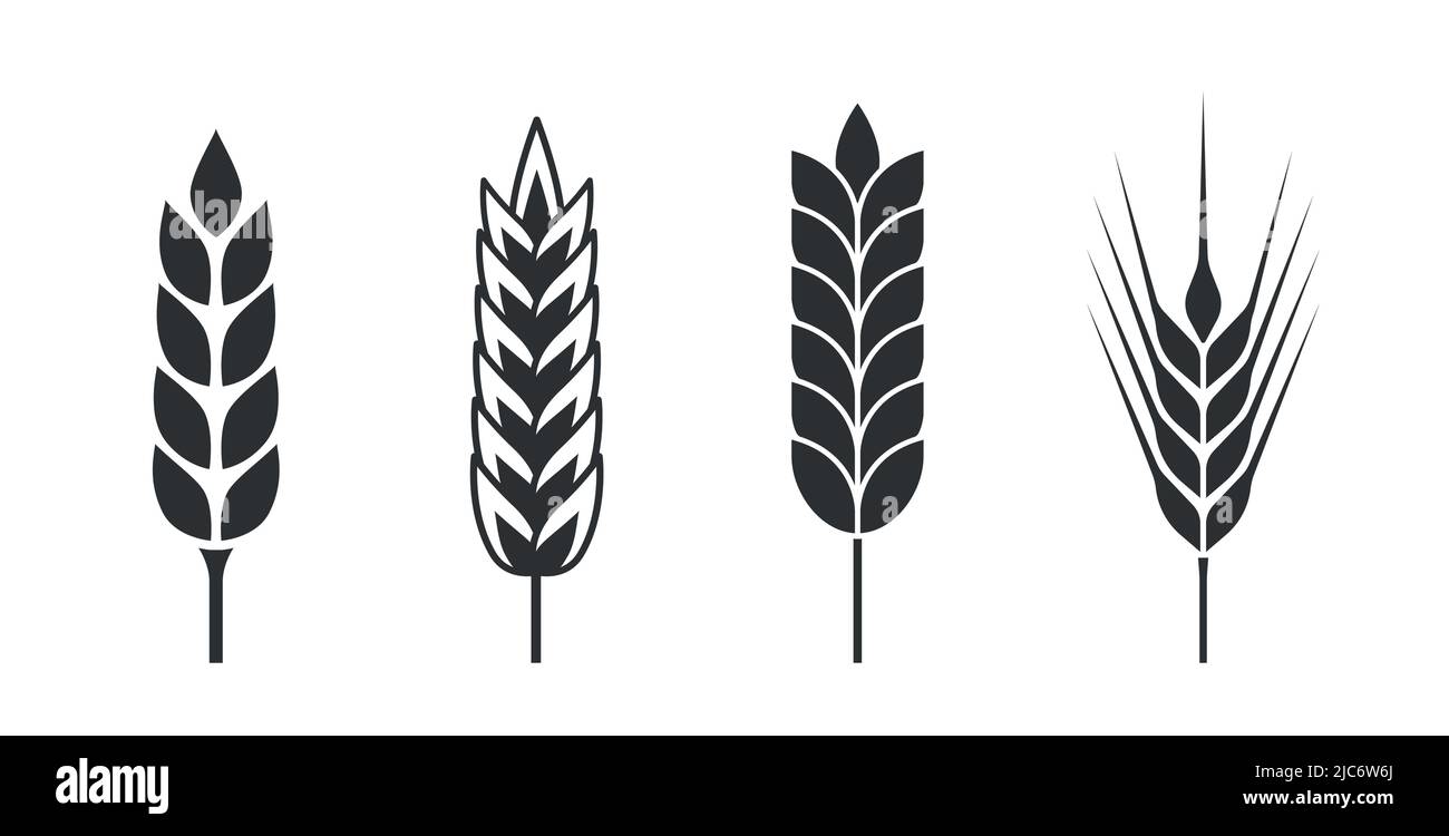 Different gain wheat barley symbols farming vector illustration icon ...