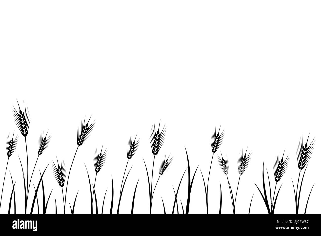 Barley or grain agriculture field farming vector illustration icon ...