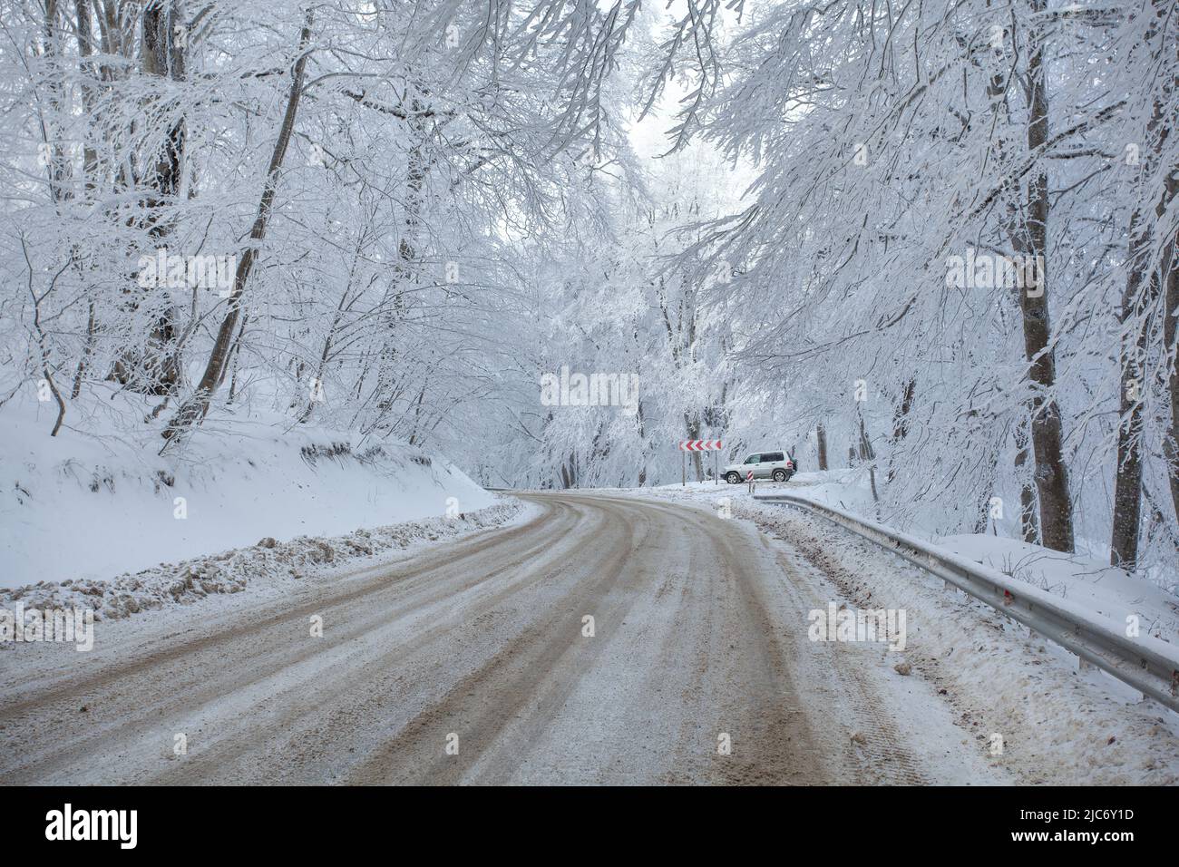 Road in Sabaduri forest with covered snow. Winter time. Landscape ...