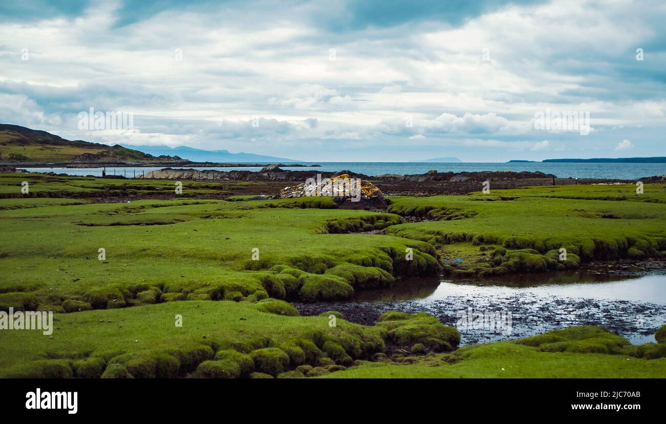 Moss and rocks on the Isle of Skye, Scotland. Mountains and sea in view ...