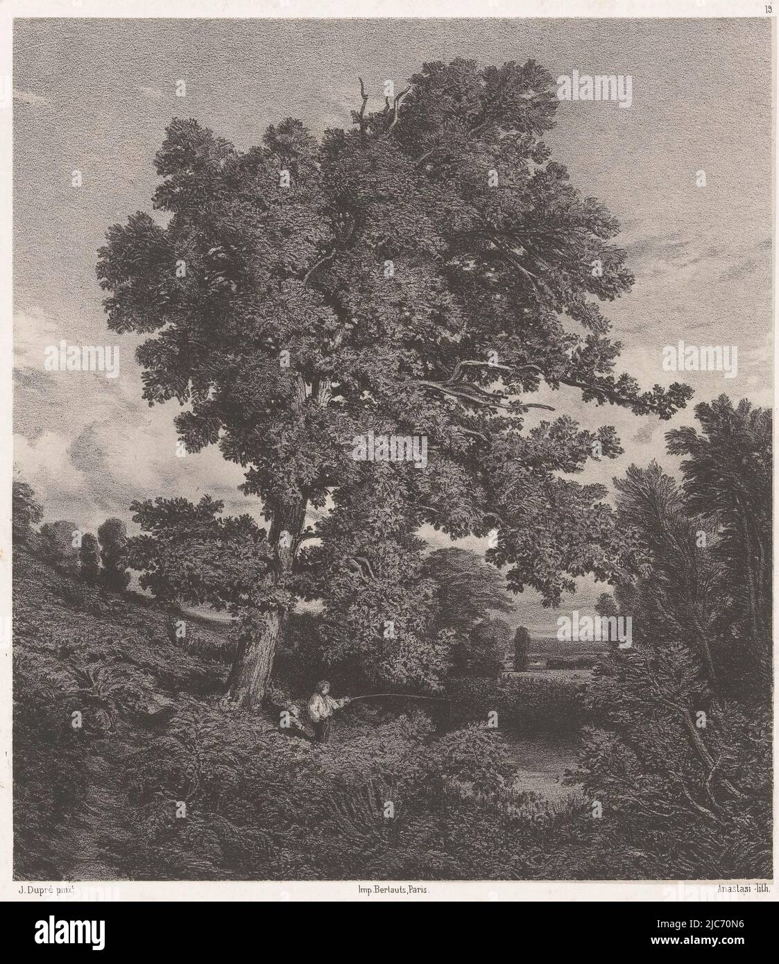 Oak tree contemporary artists hi-res stock photography and images - Alamy