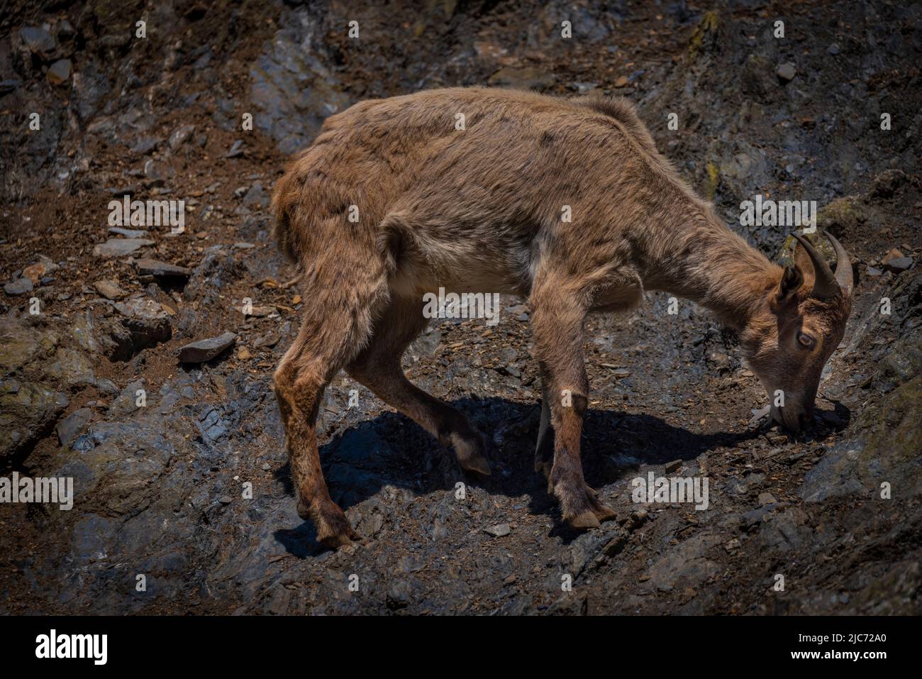 Hot and windy hi-res stock photography and images - Alamy