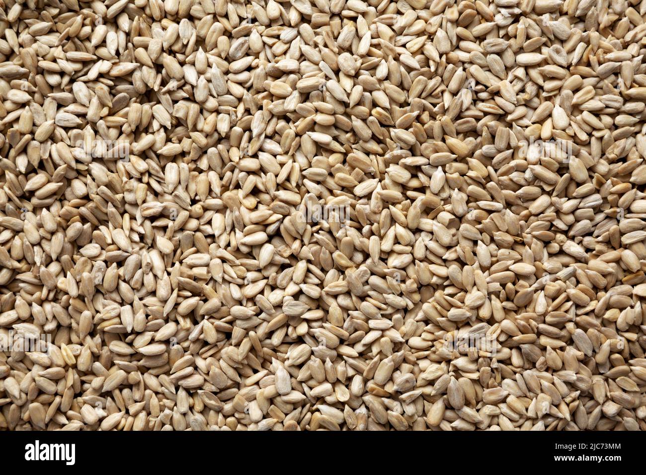 Raw Organic Sunflower Seed Kernels Stock Photo - Alamy