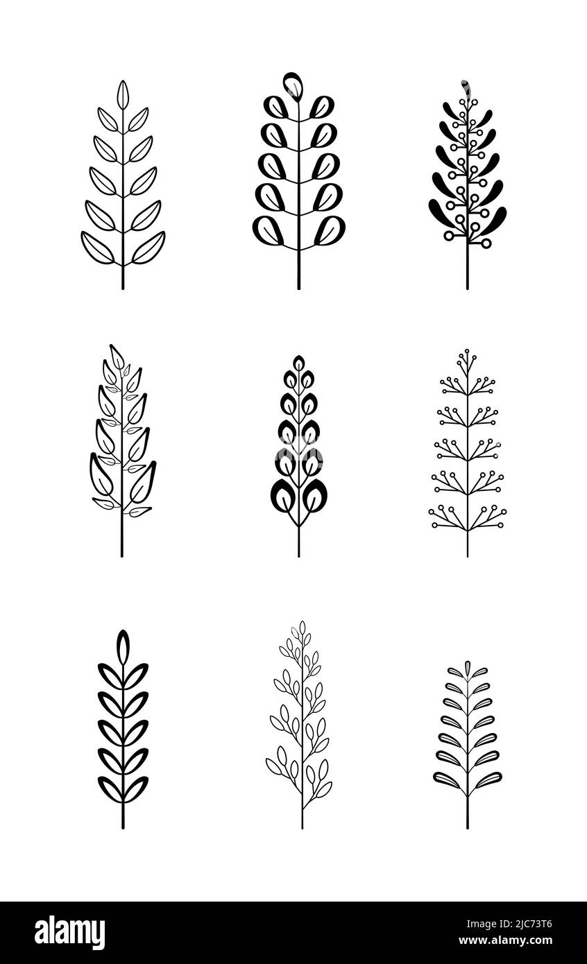 Vintage tree branches vector set in hand drawn style with leaves and ...