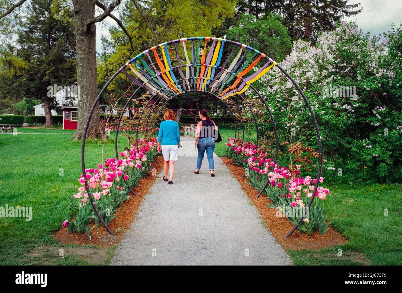 Visitors walk through a tunnel of colored streamers with blooming tulip ...