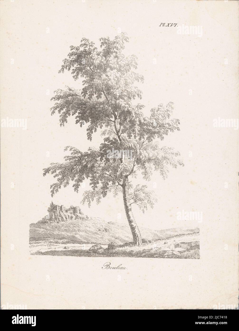 J w w birch hi-res stock photography and images - Alamy