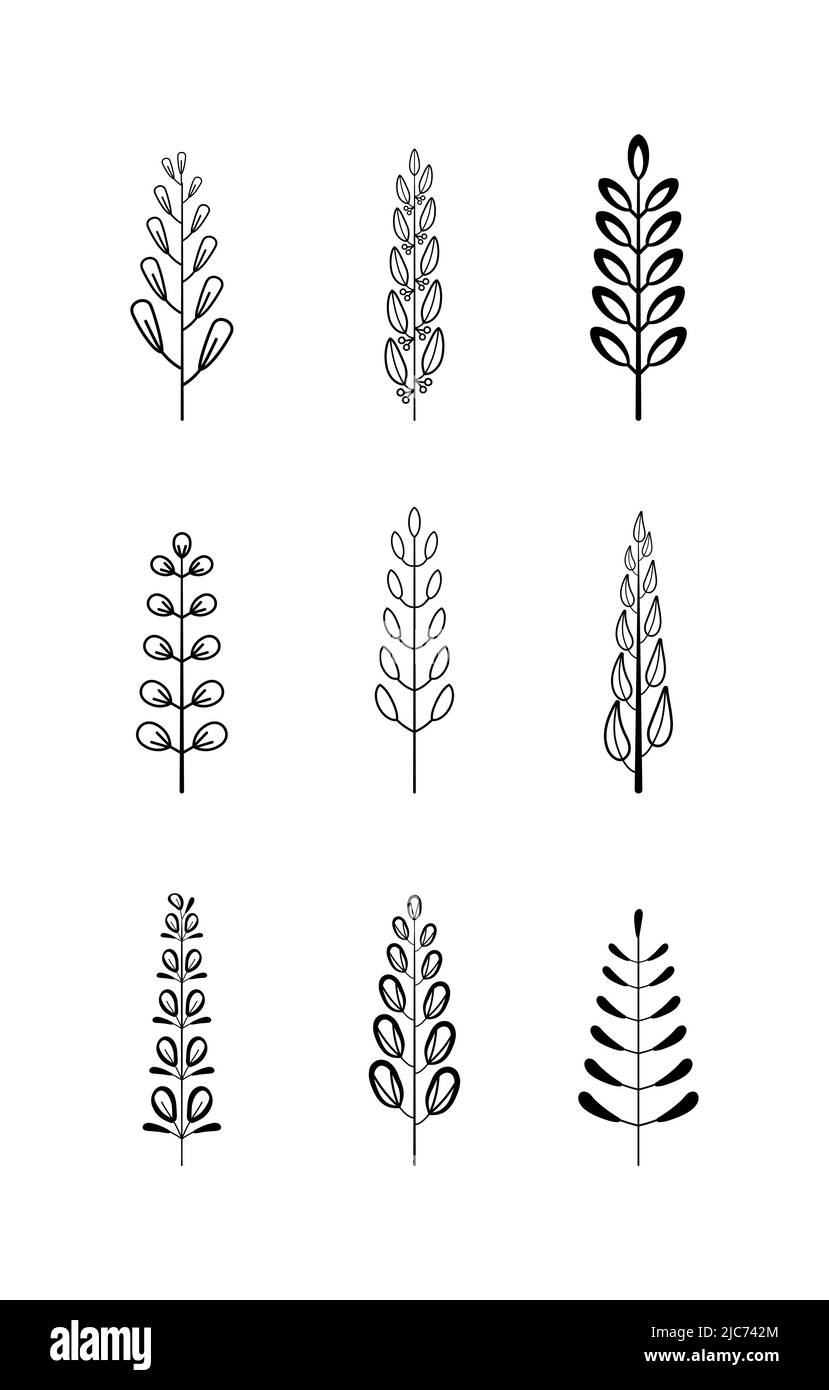 Vintage tree branches vector set in hand drawn style with leaves and ...