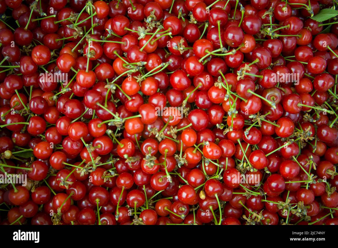 Weet cherry hi-res stock photography and images - Alamy