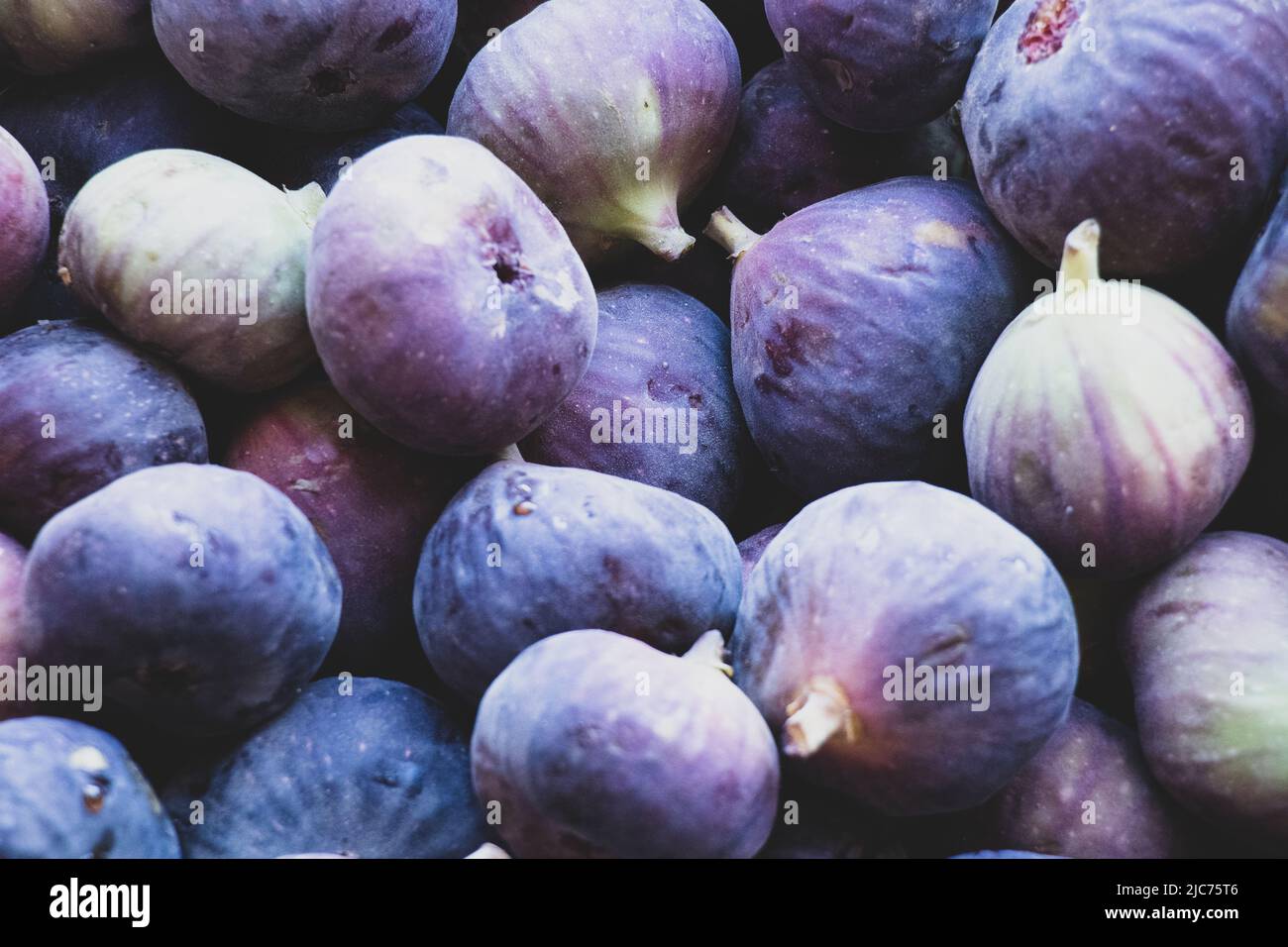 figs in a bazaar in egypt in the sun for background, ripe whole figs ...