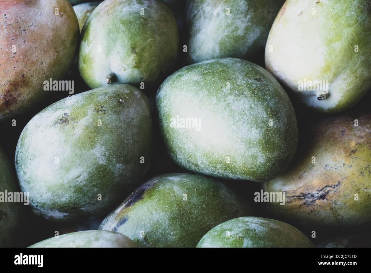 ripe green mango lie on the counters at the bazaar in egypt, mango ...