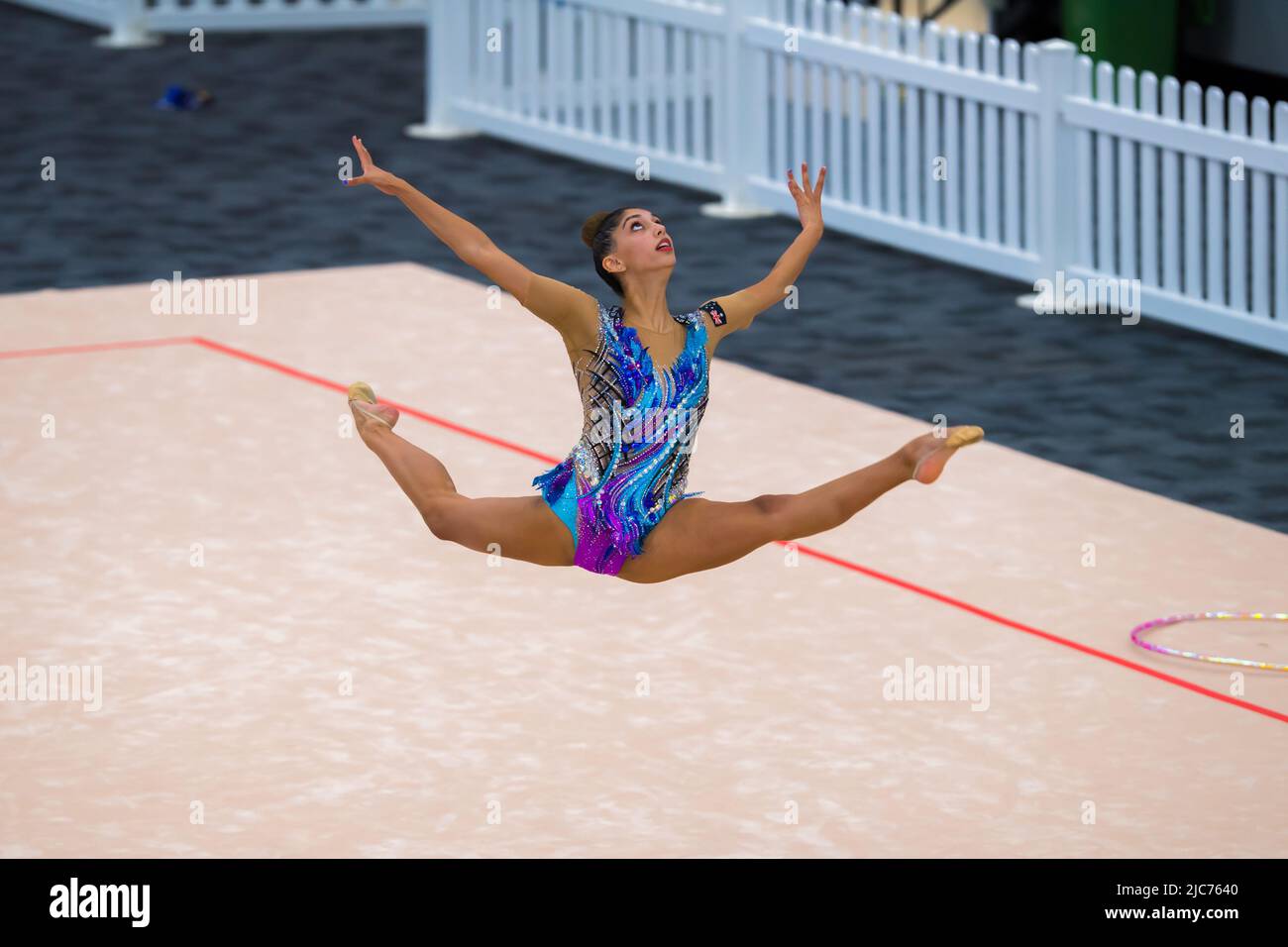 Australian Senior International Rhythmic Gymnast, Ashari Gill with a ...