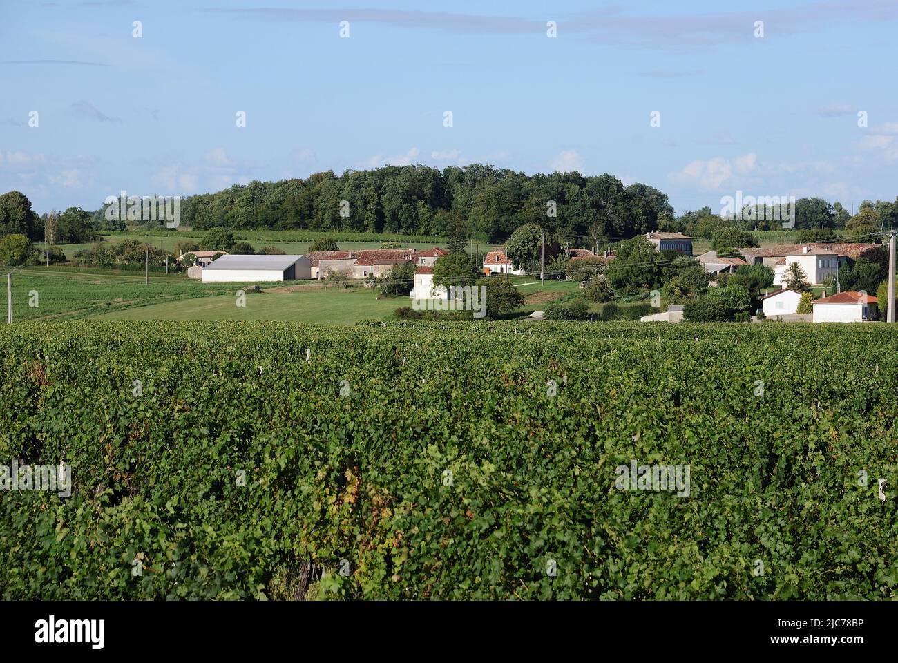 Charentais cognac hi-res stock photography and images - Alamy