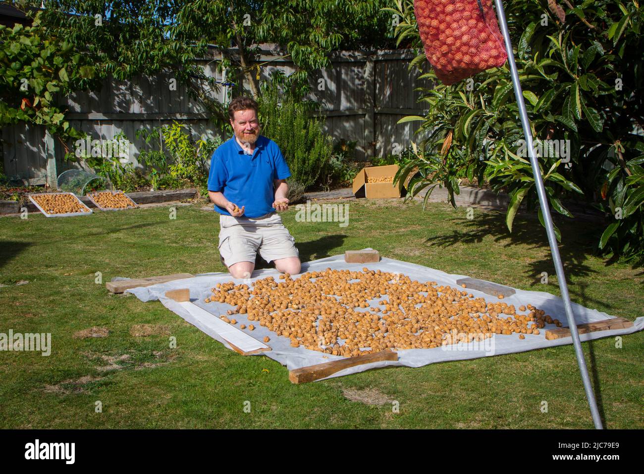 Life in New Zealand. Fishing, foraging, diving, gardening and sports ...