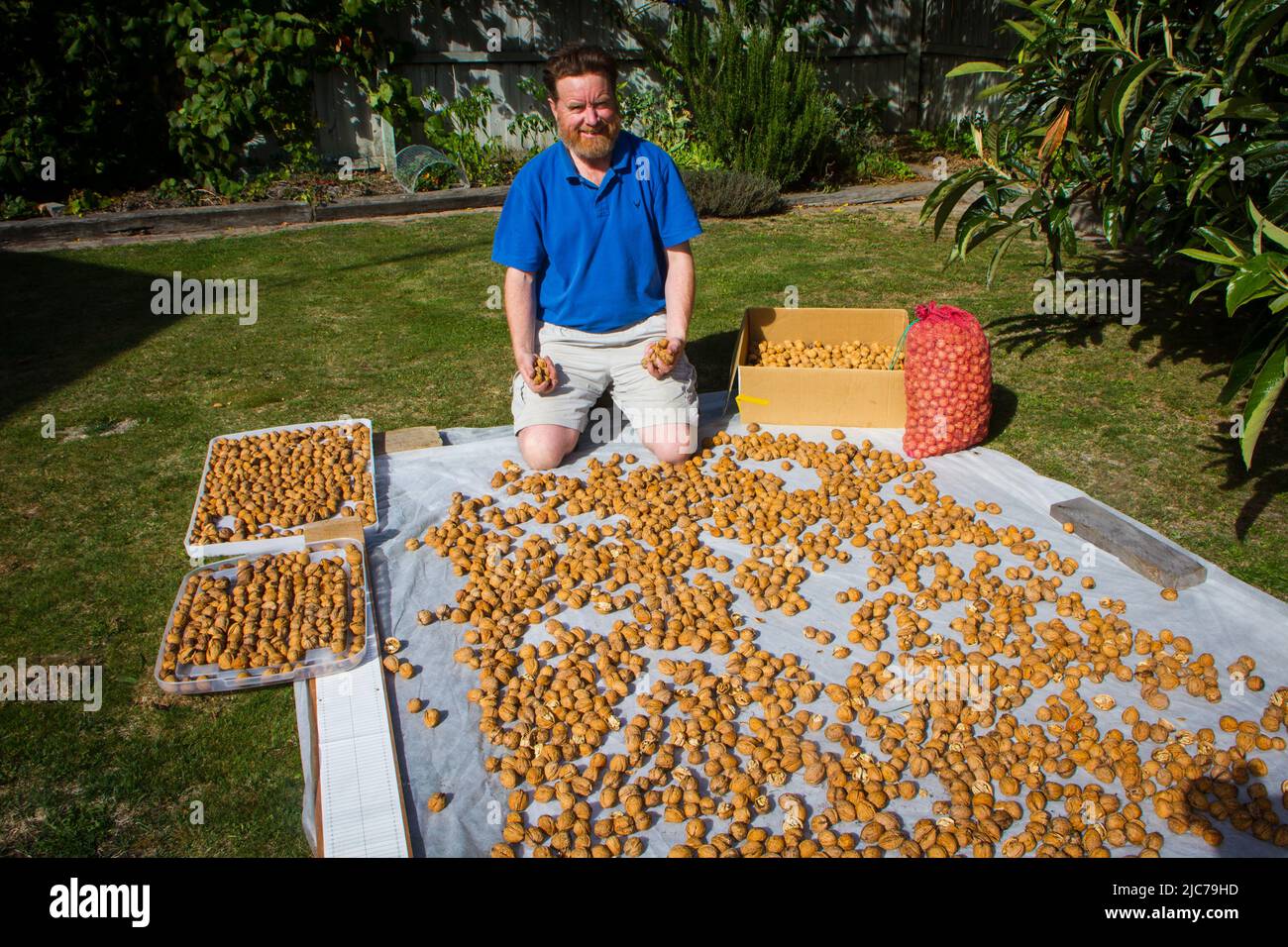Life in New Zealand. Fishing, foraging, diving, gardening and sports ...