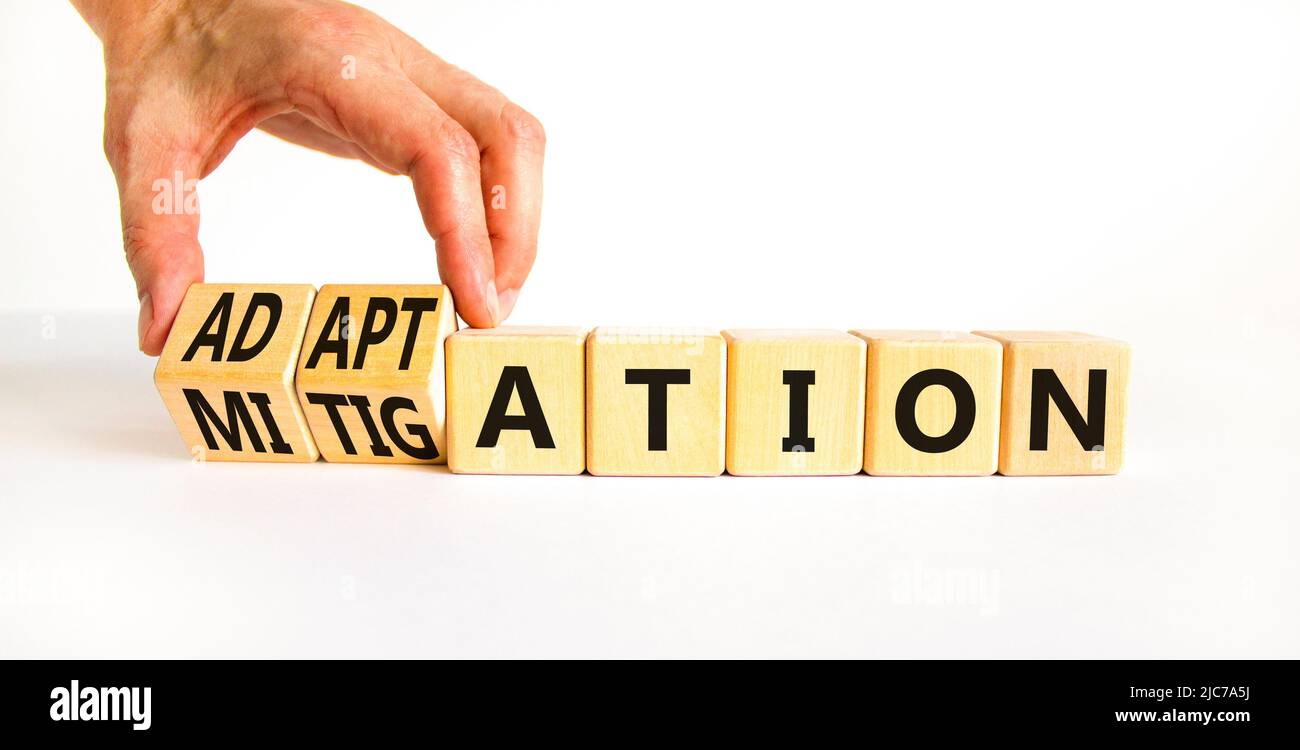 Adaptation or mitigation symbol. Businessman turns cubes and changes ...
