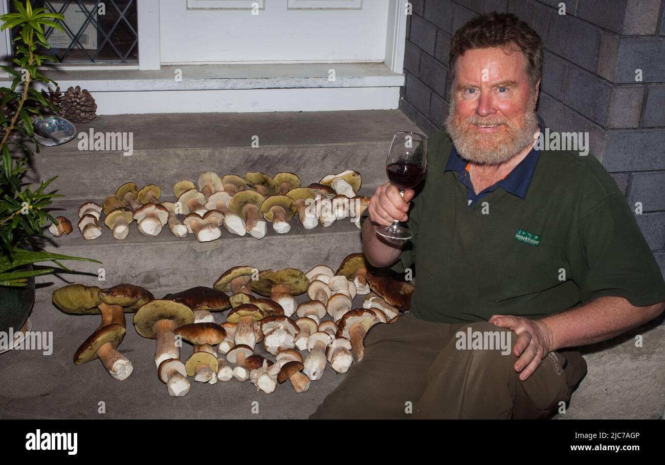 Life in New Zealand. Fishing, foraging, diving, gardening and sports ...