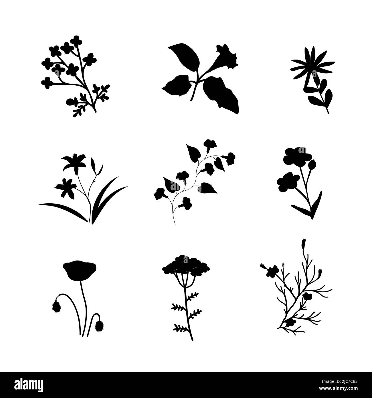 Isolated vector plants botanical collection Stock Vector Image & Art ...