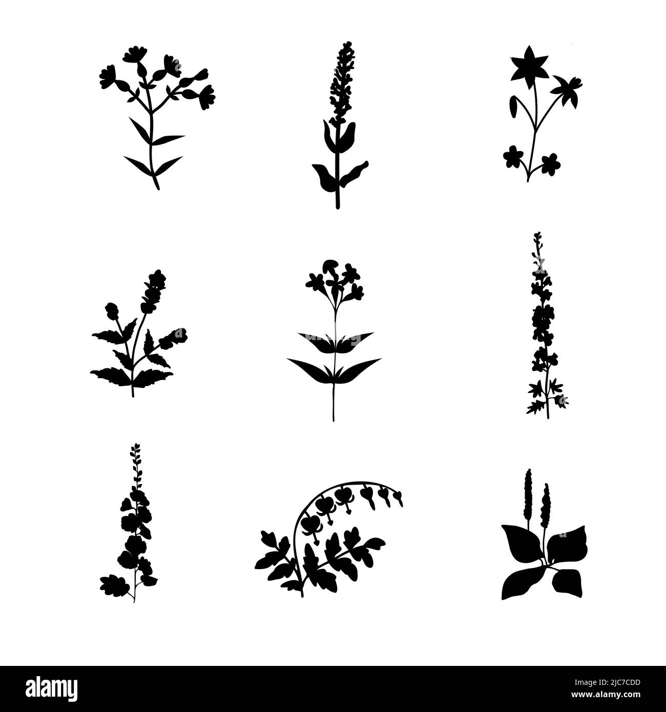 Plantain plants Stock Vector Images - Alamy
