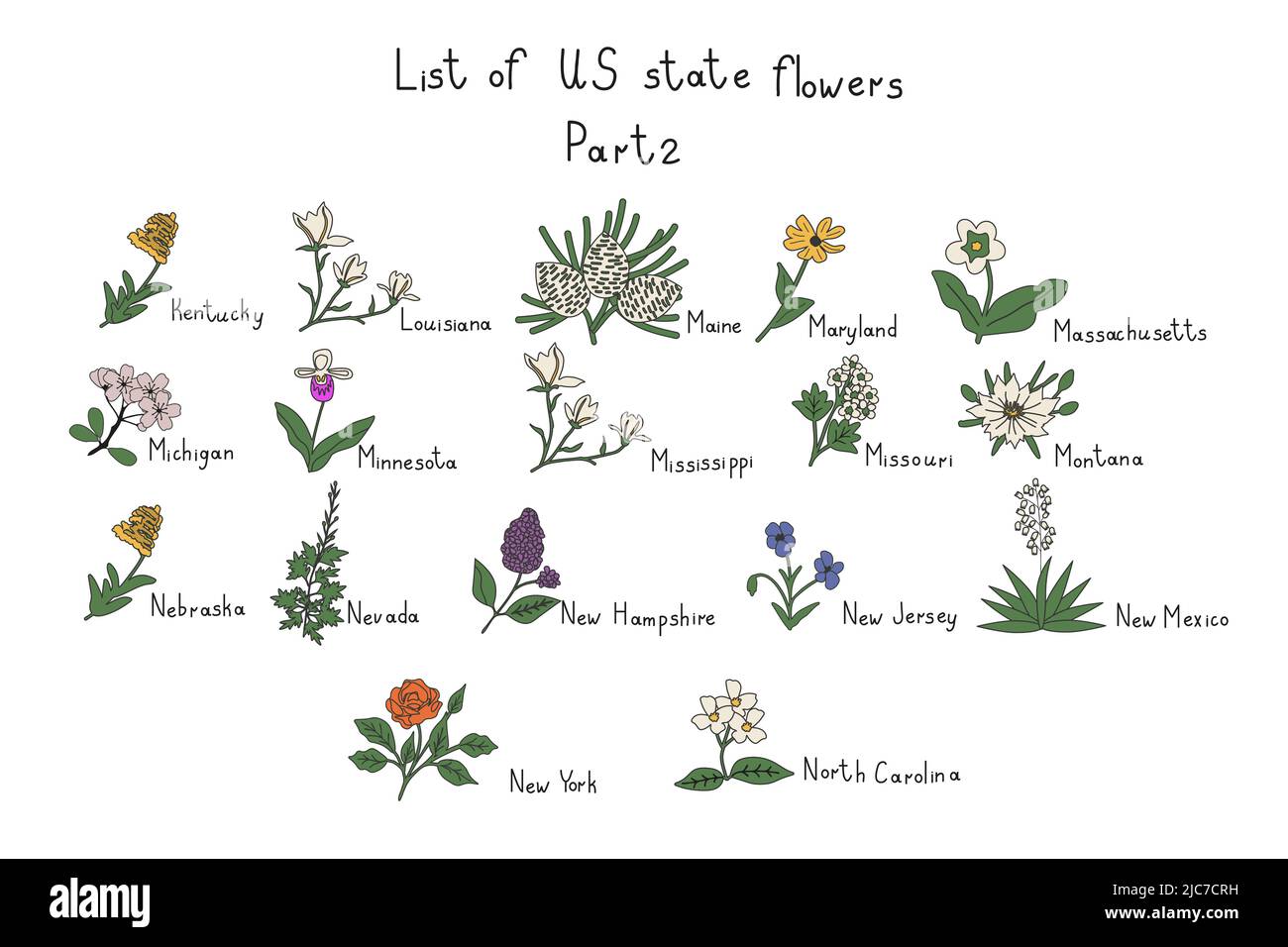 US state flowers isolated vector symbols Stock Vector Image & Art - Alamy
