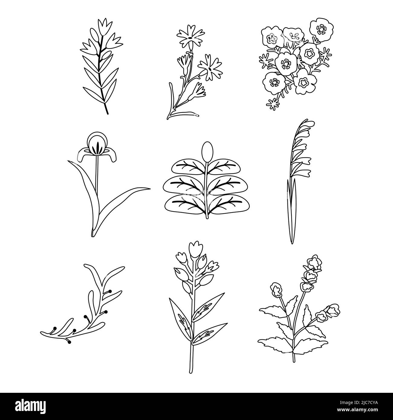 Elements botany botany stems Black and White Stock Photos & Images - Alamy