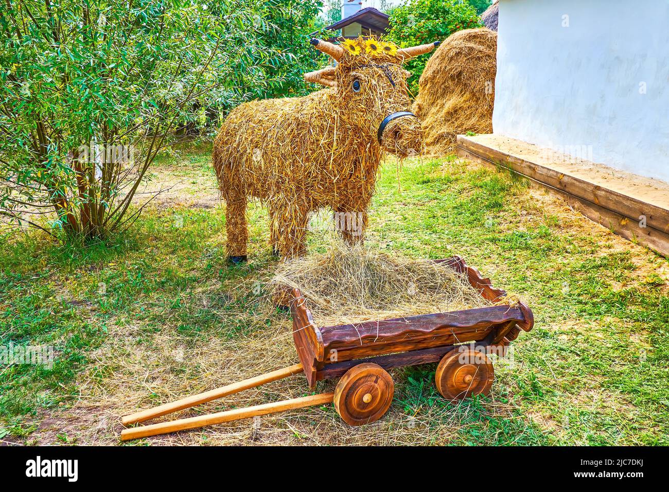 The straw bull in the authentic courtyard of farmstead, National ...