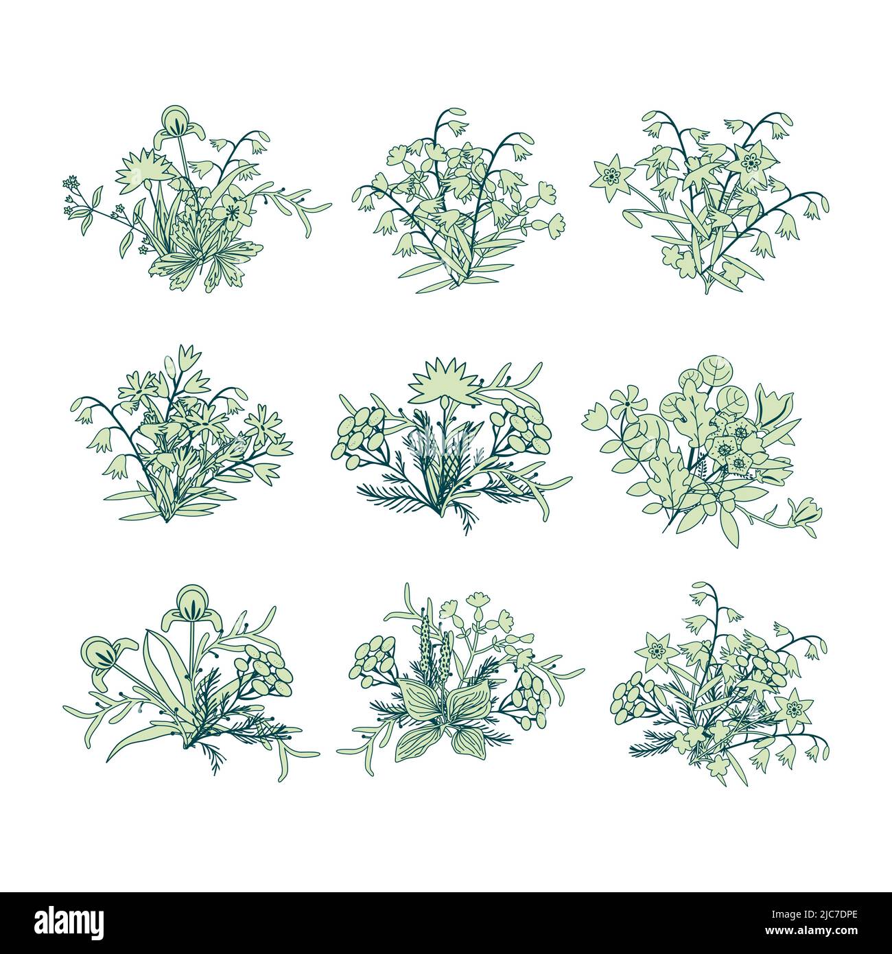 Isolated vector floral bunches set Stock Vector Image & Art - Alamy