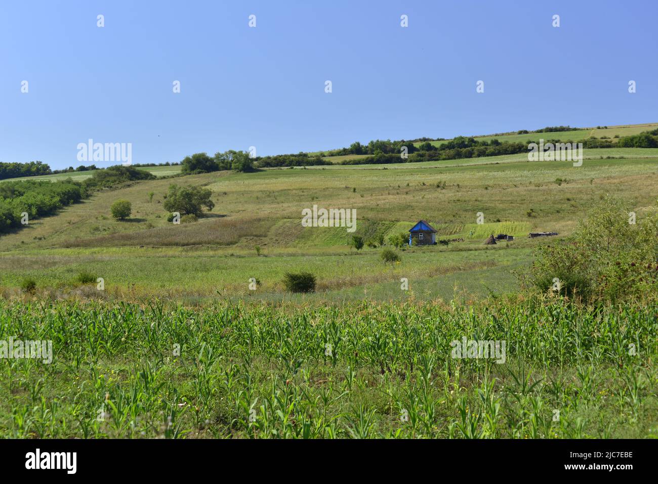 Pasture fields in Transylvania Stock Photo - Alamy