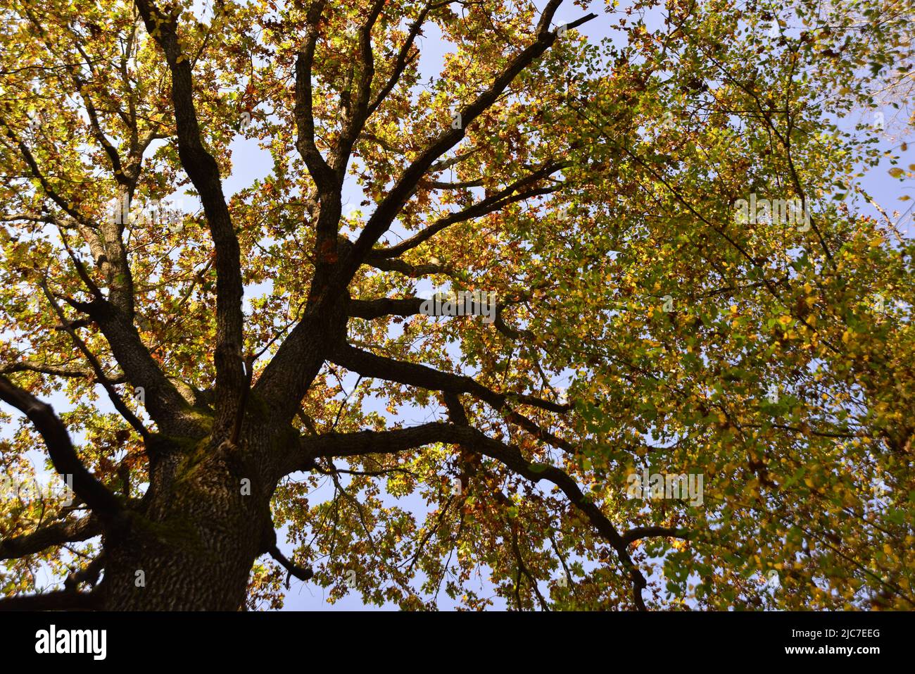 Signs of autumn hi-res stock photography and images - Alamy