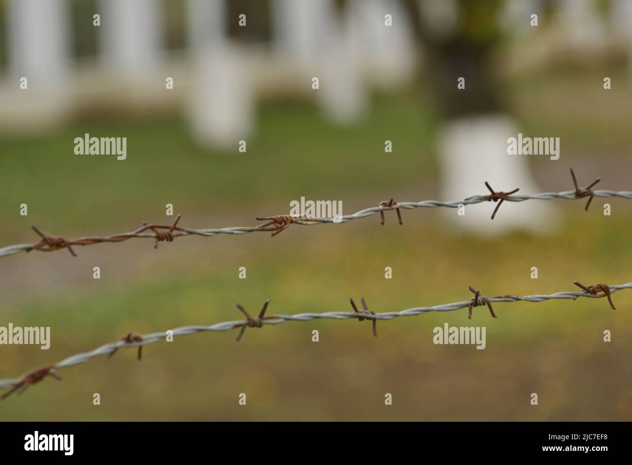 Barbed wire fence closing the passageway Stock Photo - Alamy