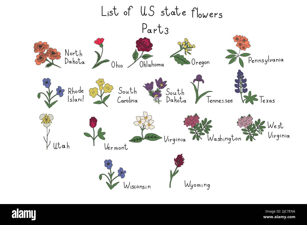 US state flowers isolated vector symbols Stock Vector Image & Art - Alamy