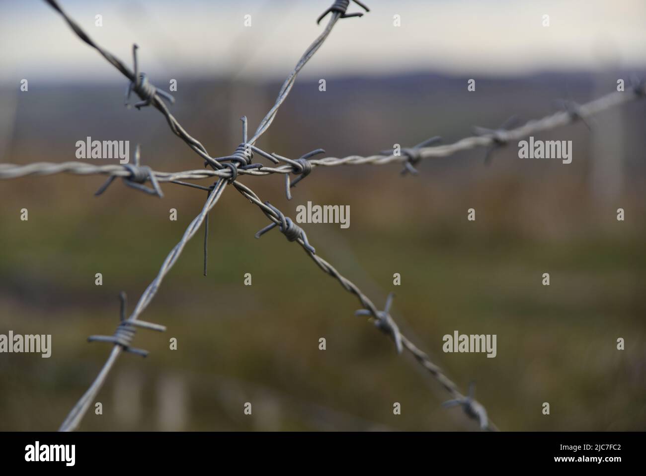 Crossed barbed wires on the path Stock Photo - Alamy