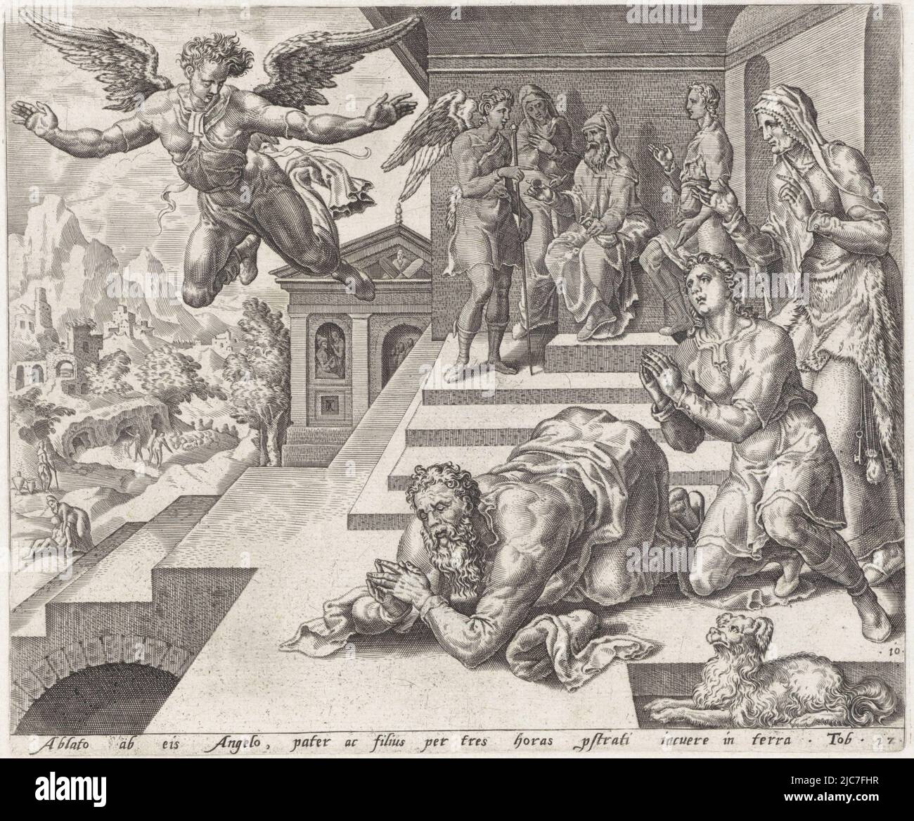 Tobit wants hi-res stock photography and images - Alamy