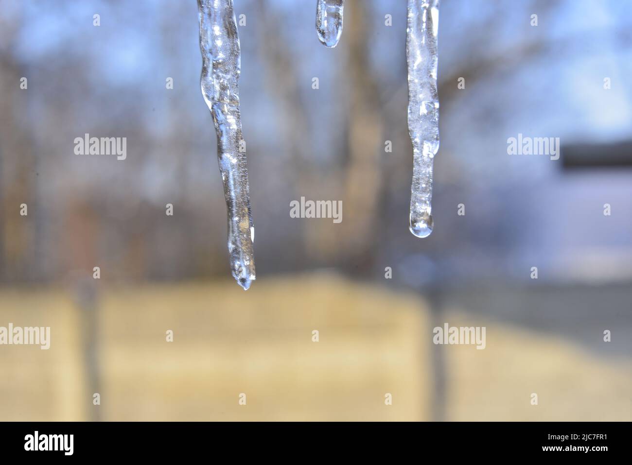 Ice stalactites from the polar cold Stock Photo - Alamy
