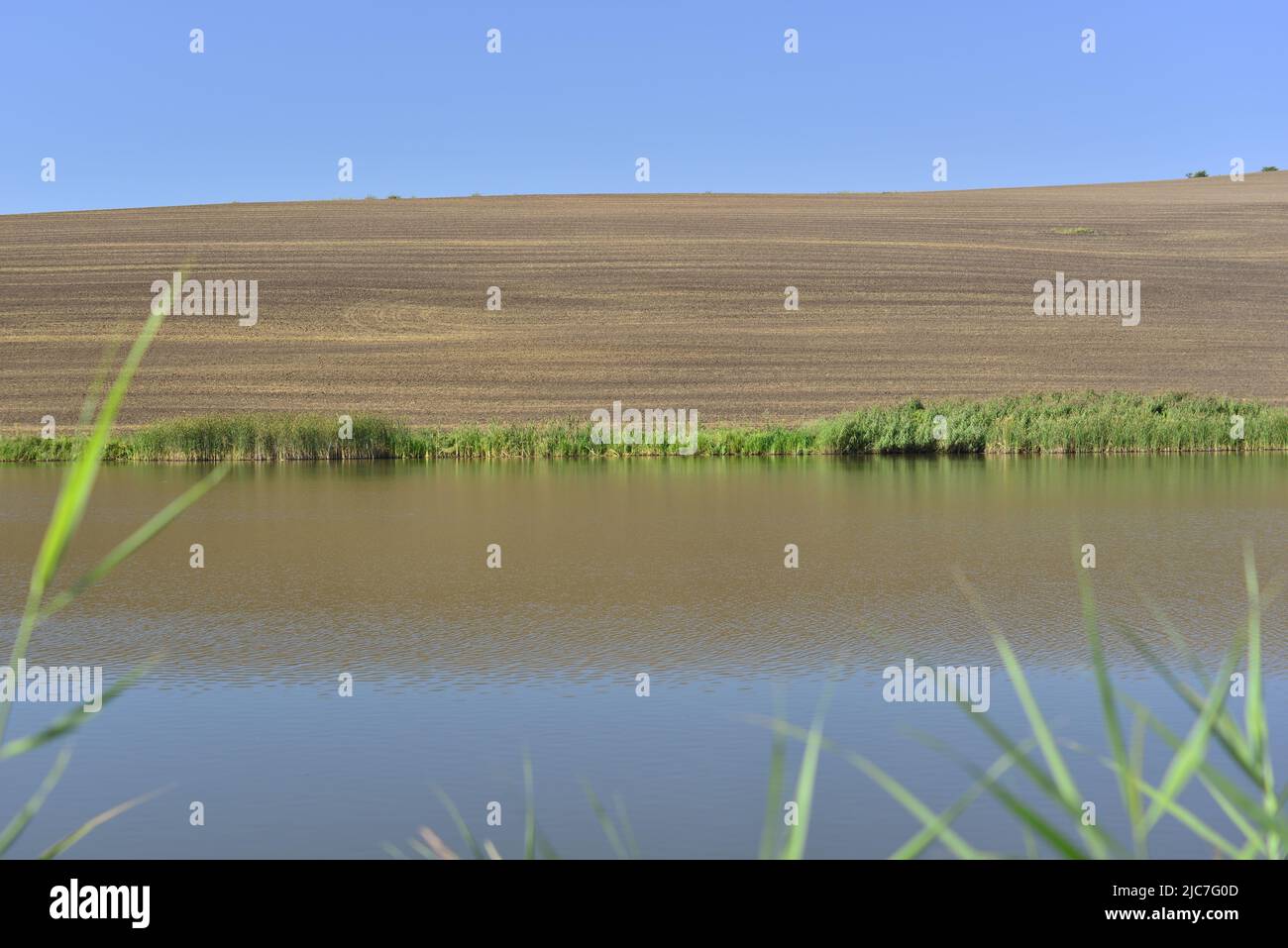 Crop lake hi-res stock photography and images - Alamy