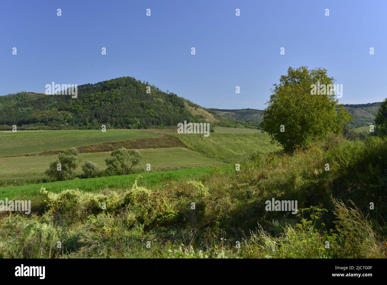 Spring green landscape with a blue sky background Stock Photo - Alamy