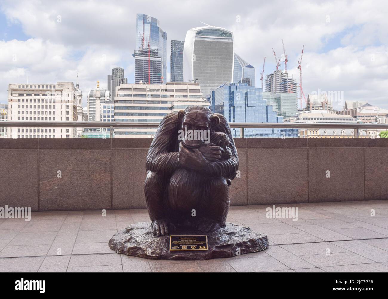 London, UK. 10th June, 2022. A chimpanzee sculpture is seen near London ...