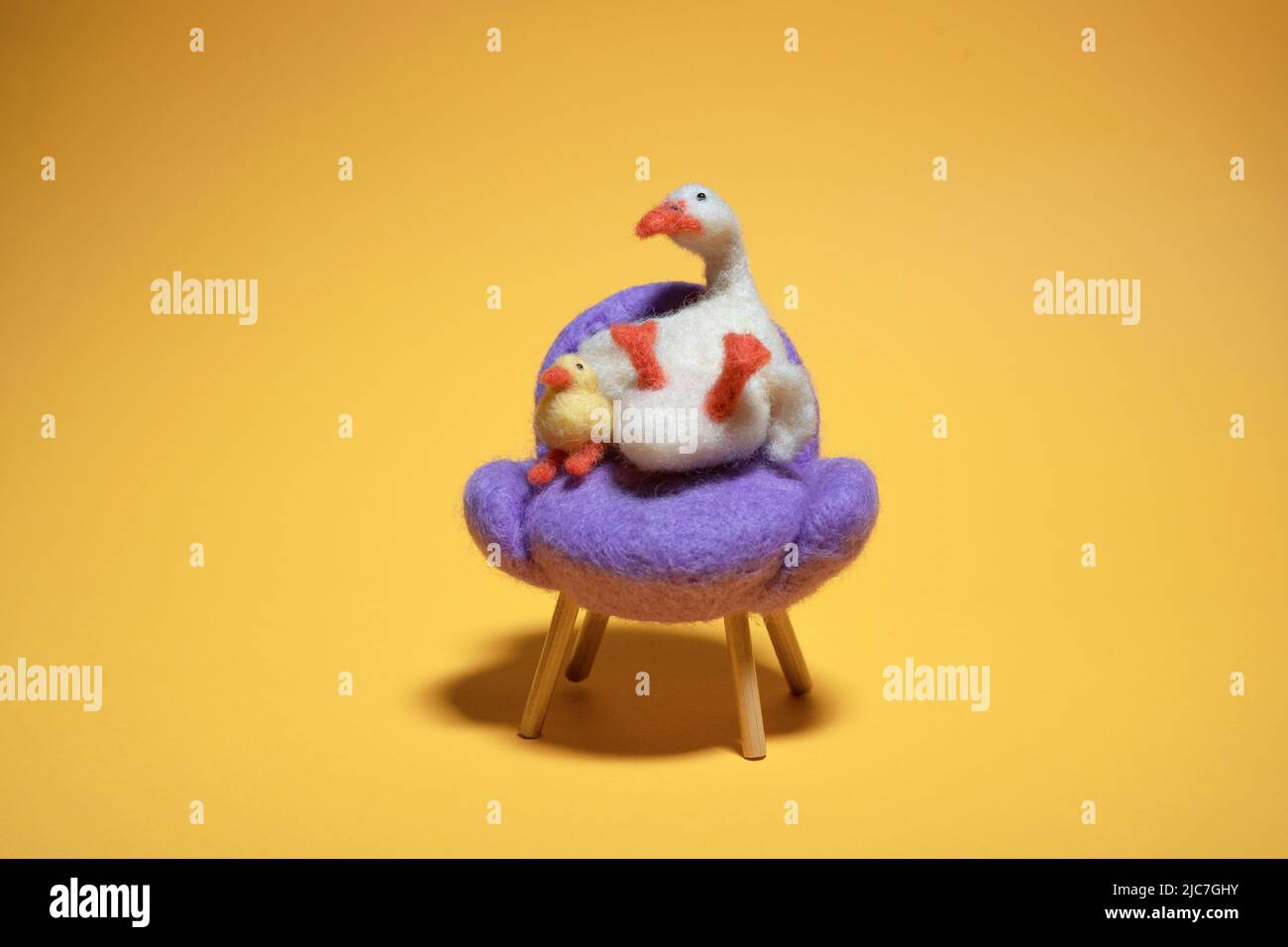 Needle felting duck sitting on a chair with yellow background Stock ...