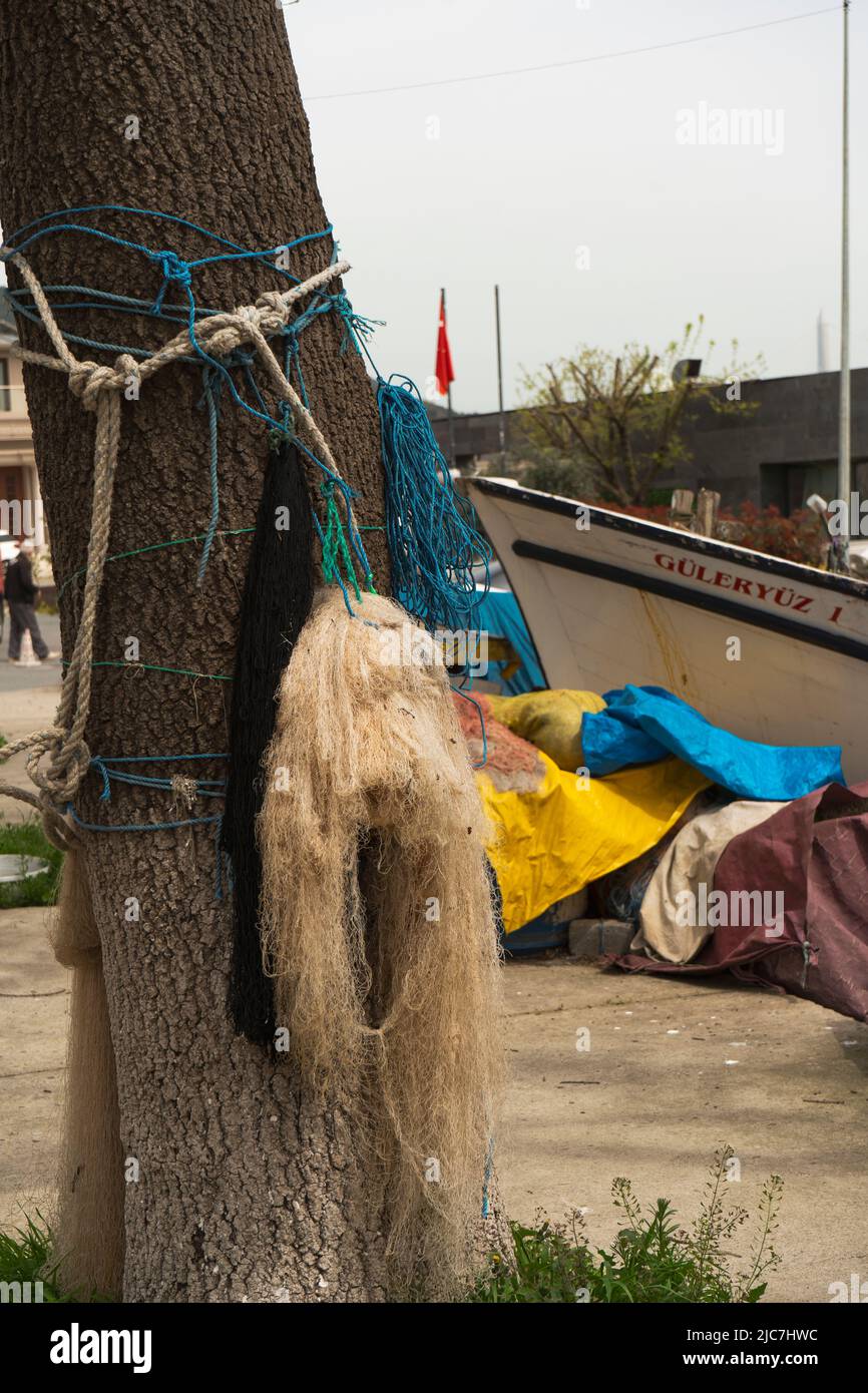 Fishing nets hanging on a tree Stock Photo - Alamy
