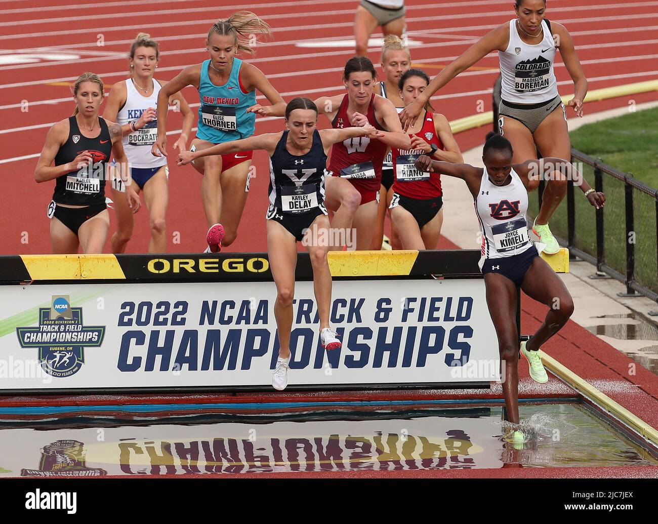 Kayley Rodriguez's Instagram, Twitter & Facebook on IDCrawl