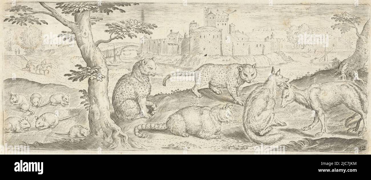 Seven rats hi-res stock photography and images - Alamy