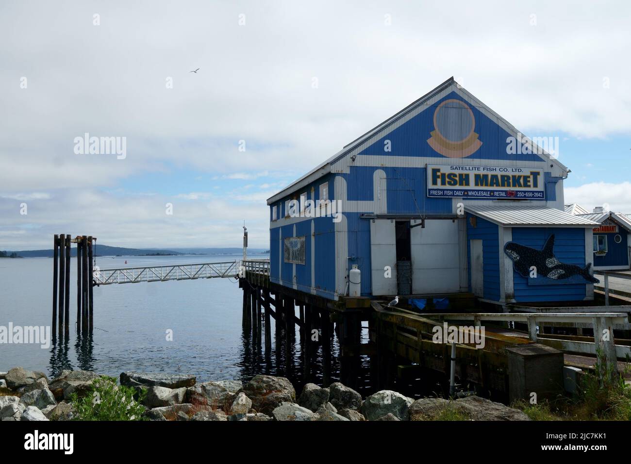 Sidney fish market and pier Stock Photo - Alamy
