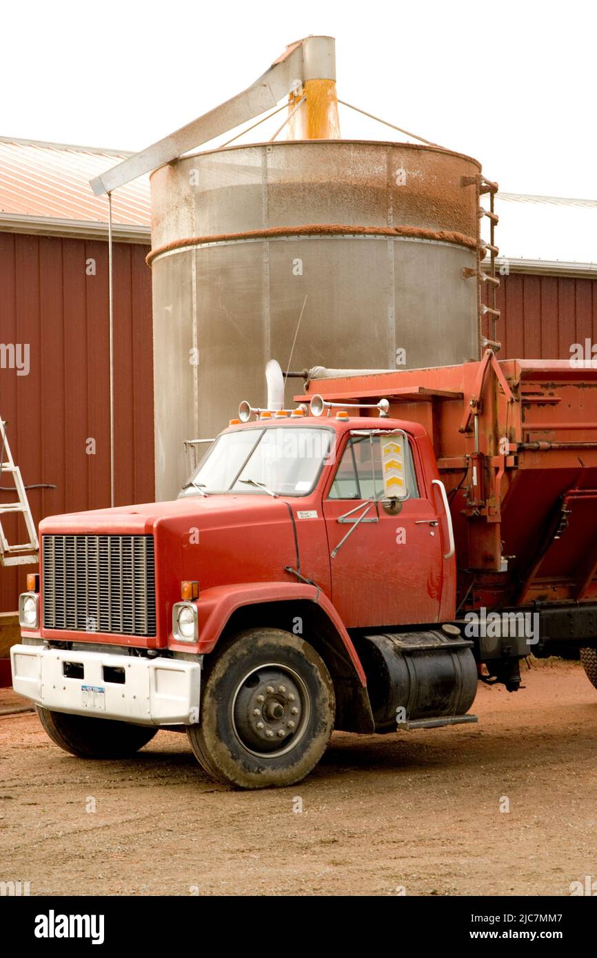 I truck transferring grain from the silo on a farm in USA Stock Photo ...