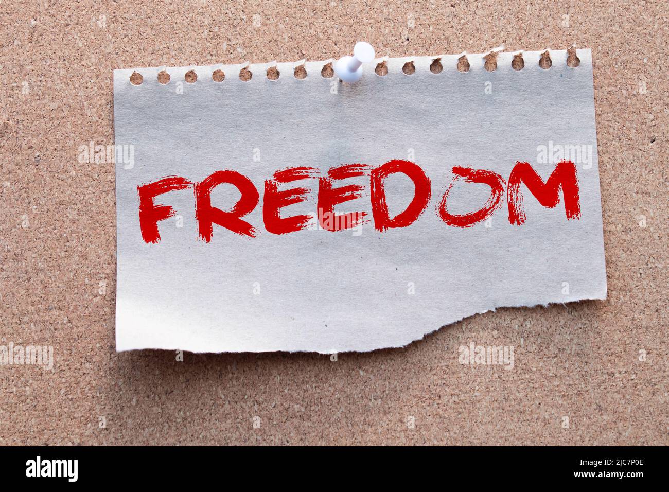 Freedom, word in wooden alphabet letters isolated on purple background ...